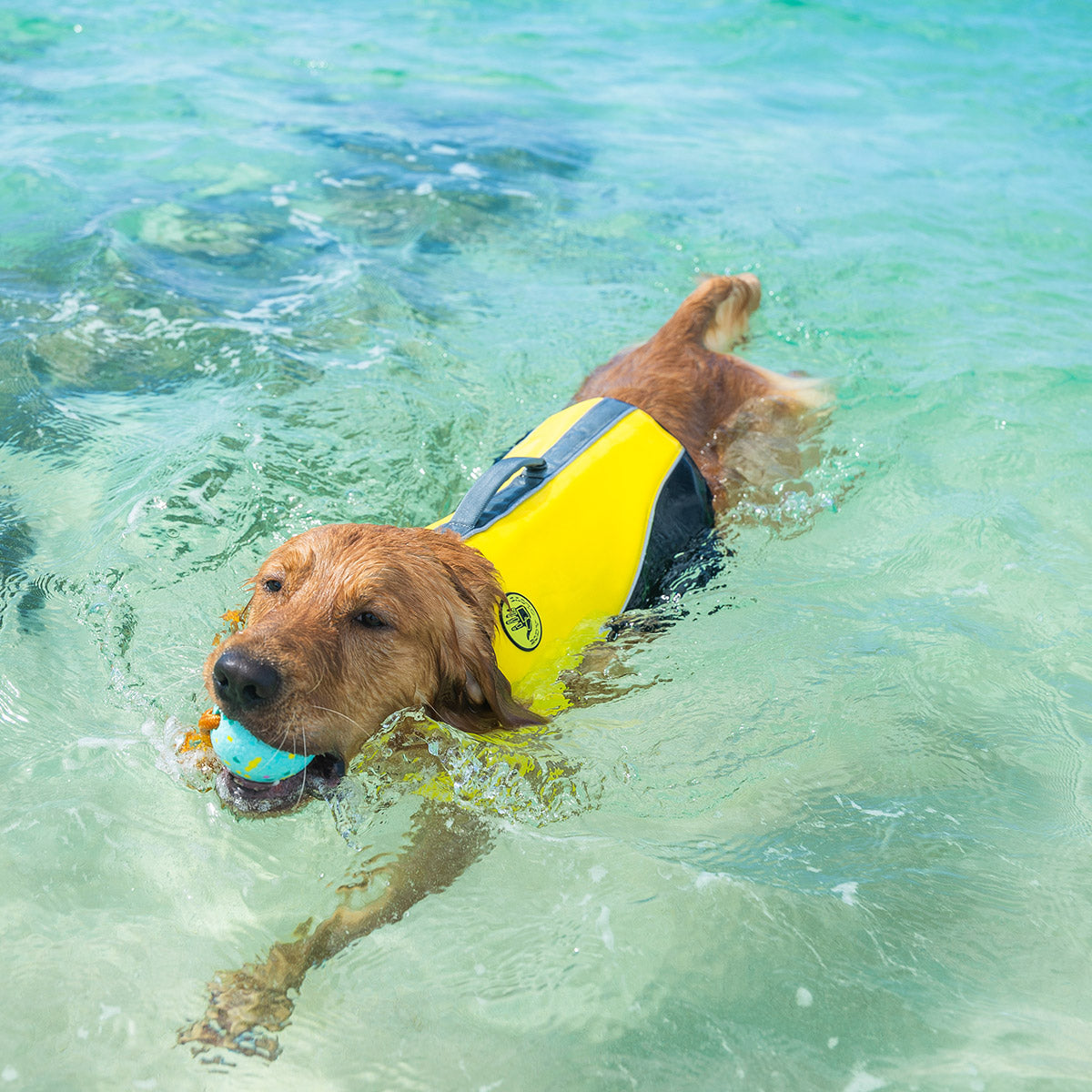 Life Jackets | Life Vests | Personal Floatation Devices | Body Glove